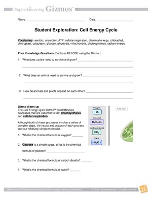Student Exploration: Cell Energy Cycle - Gizmo Activity Guide | PDF ...
