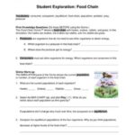 Food Chain Gizmo Answers | PDF